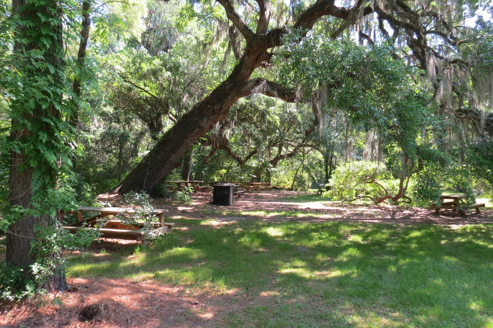 Locations Hub - Magnolia Plantation & Gardens MAY LOOKS - Around the ...