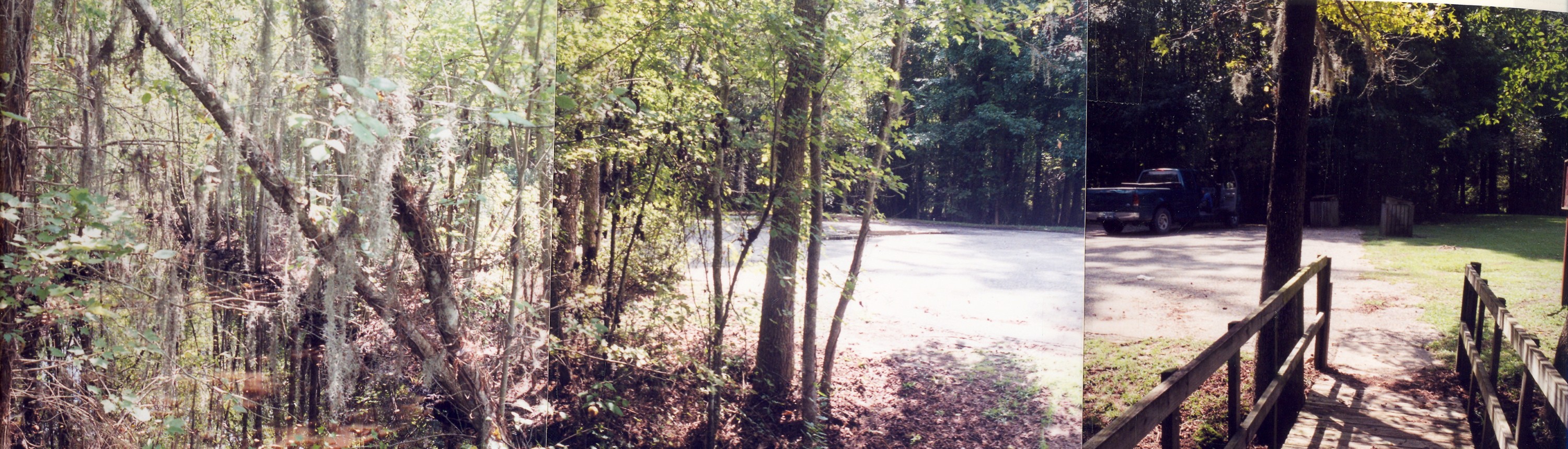 Locations Hub - Pocotaligo Swamp and Nature Walk