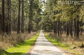 Locations Hub - Donnelley Wildlife Management Area