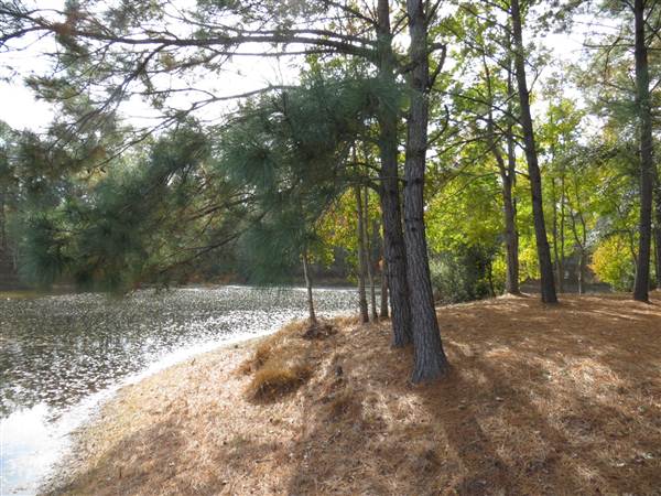 Locations Hub - Lake House at Bulow - The Island