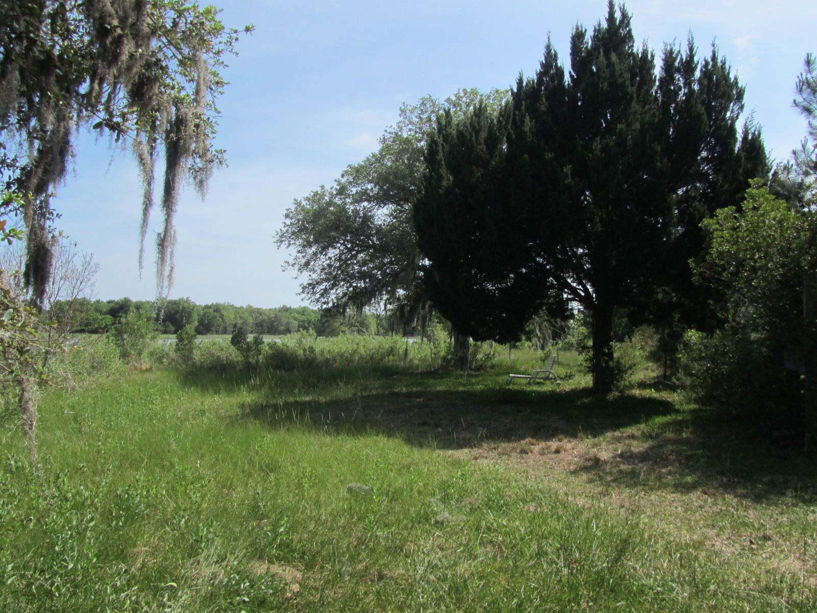 Locations Hub - Awendaw Future Park Site - Clearings