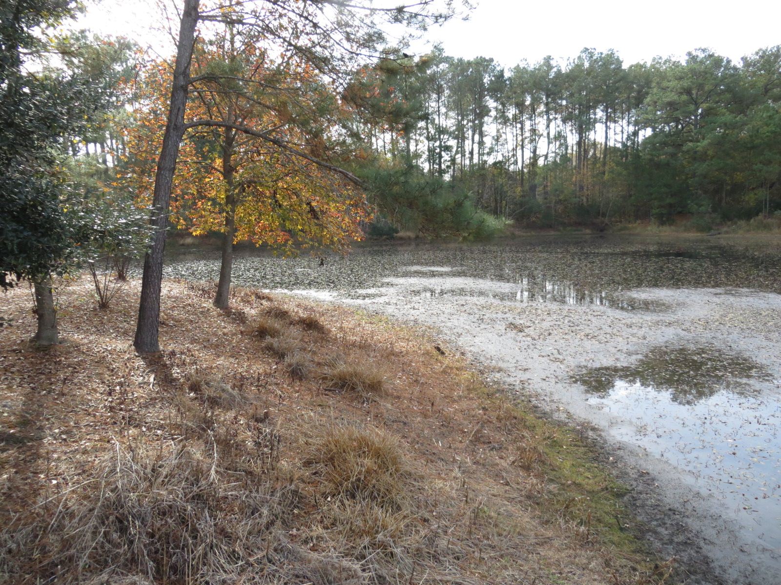 Locations Hub - Lake House at Bulow - The Island