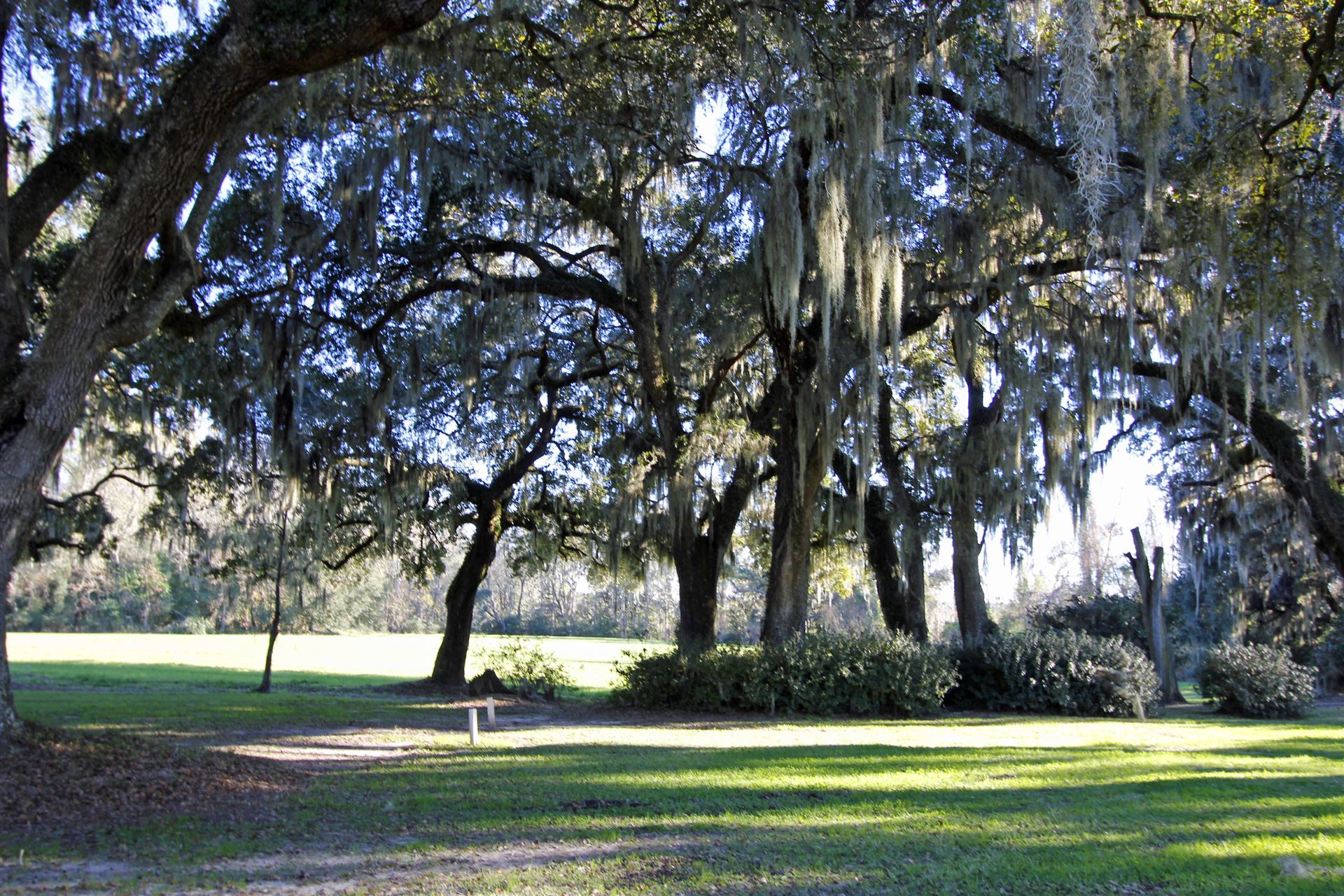 Locations Hub - Laurel Spring Plantation - 2016