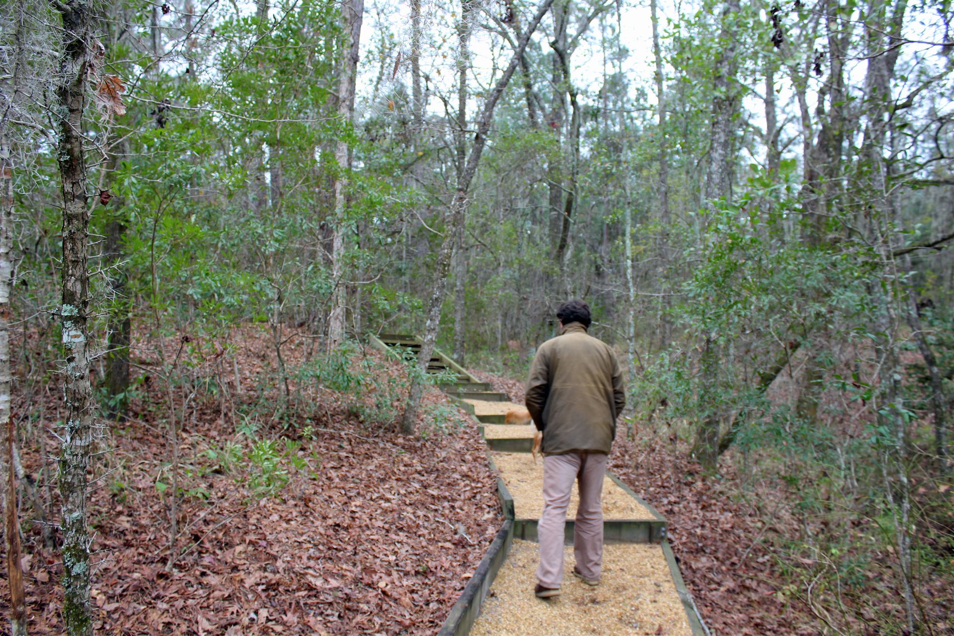 Locations Hub - Old Combahee Plantation