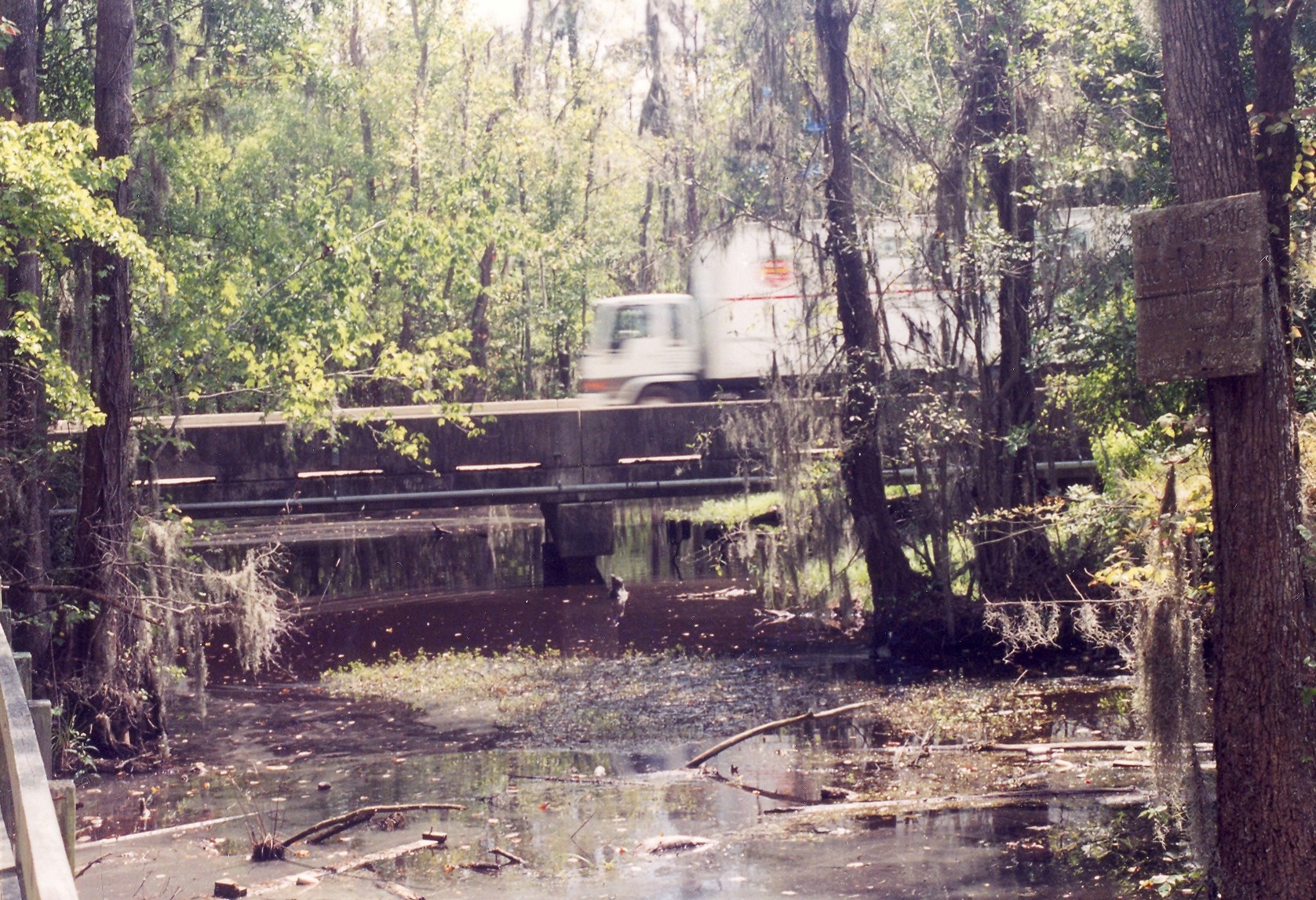 Locations Hub - Pocotaligo Swamp and Nature Walk