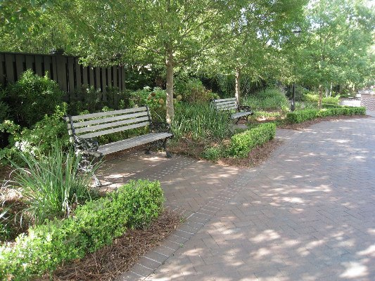 Locations Hub - College of Charleston - Addlestone Library - Ext.