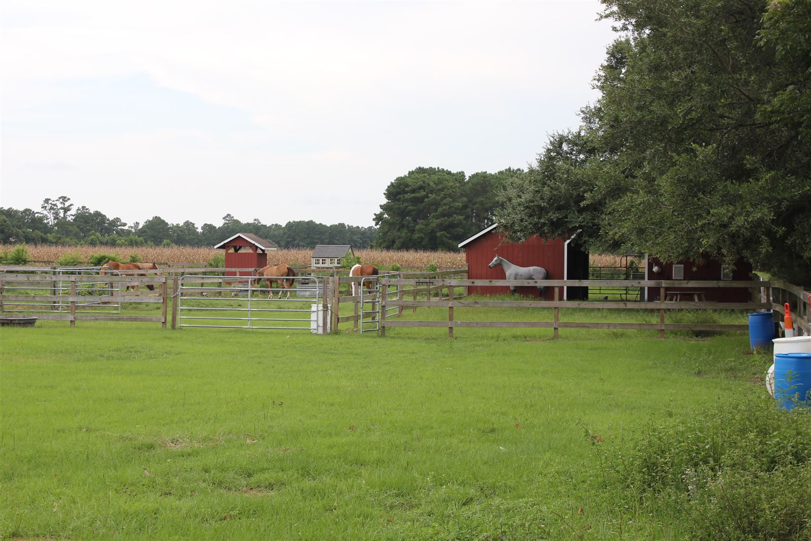 Locations Hub - Bugby - House & Outbuildings