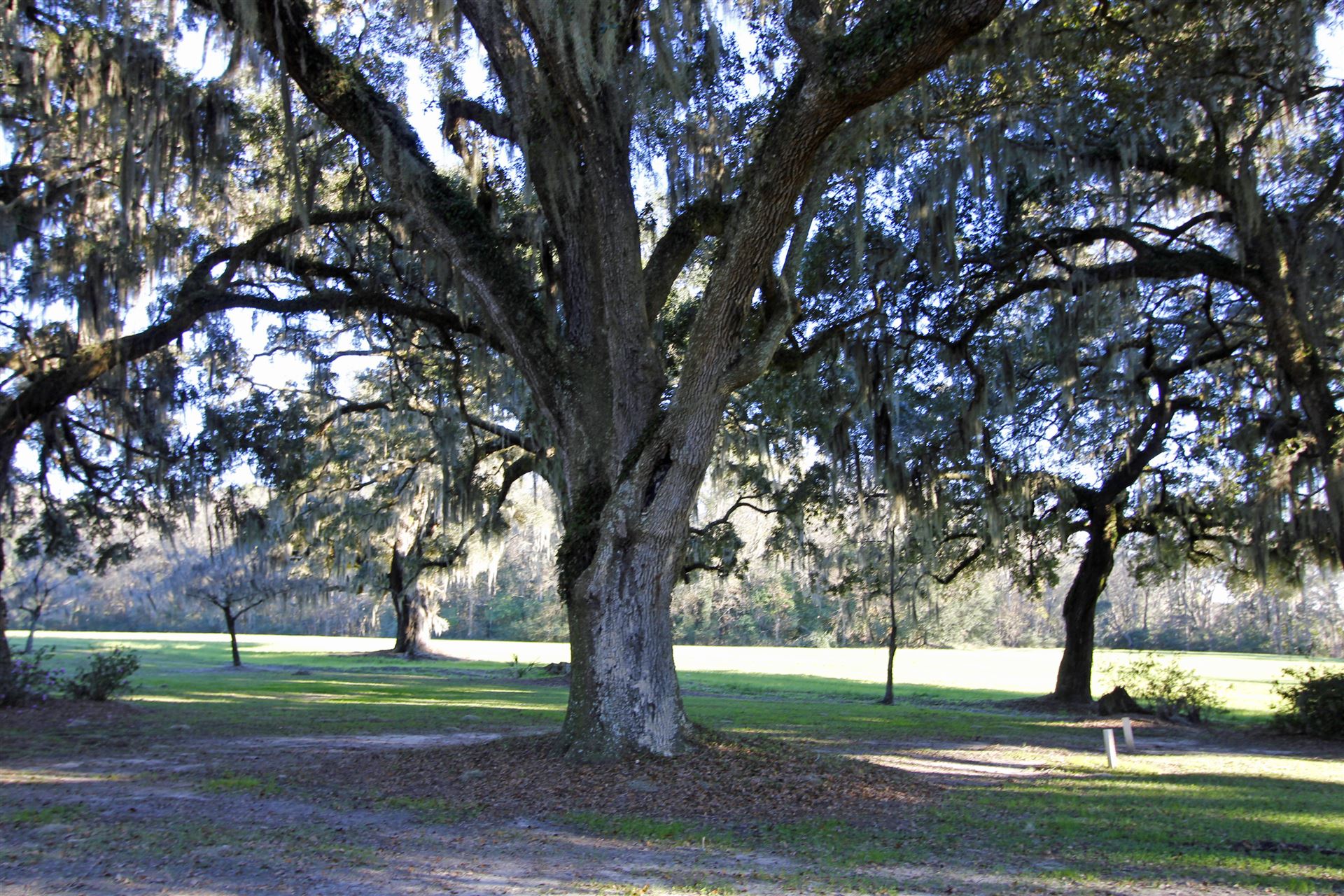 Locations Hub - Laurel Spring Plantation - 2016