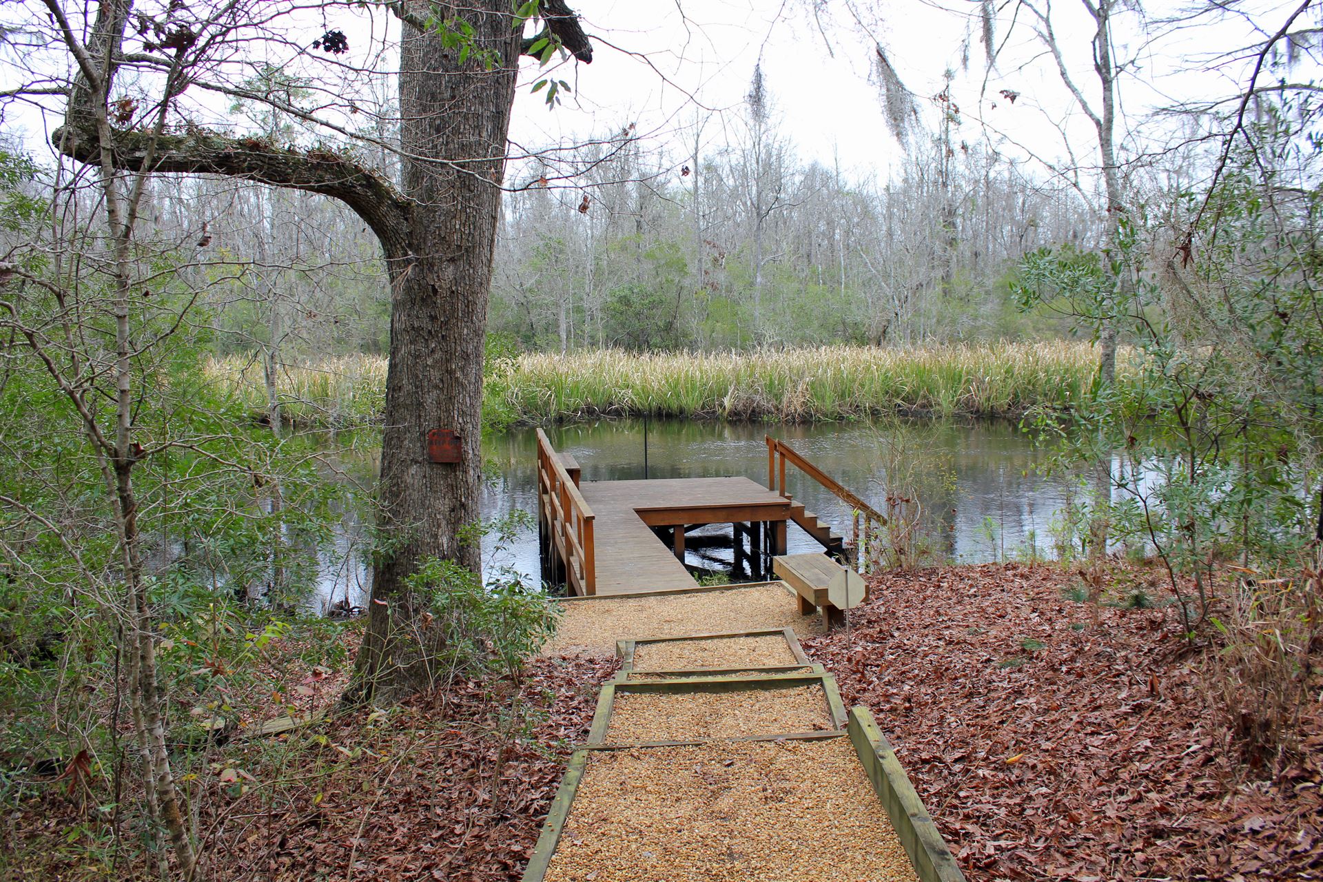Locations Hub - Old Combahee Plantation