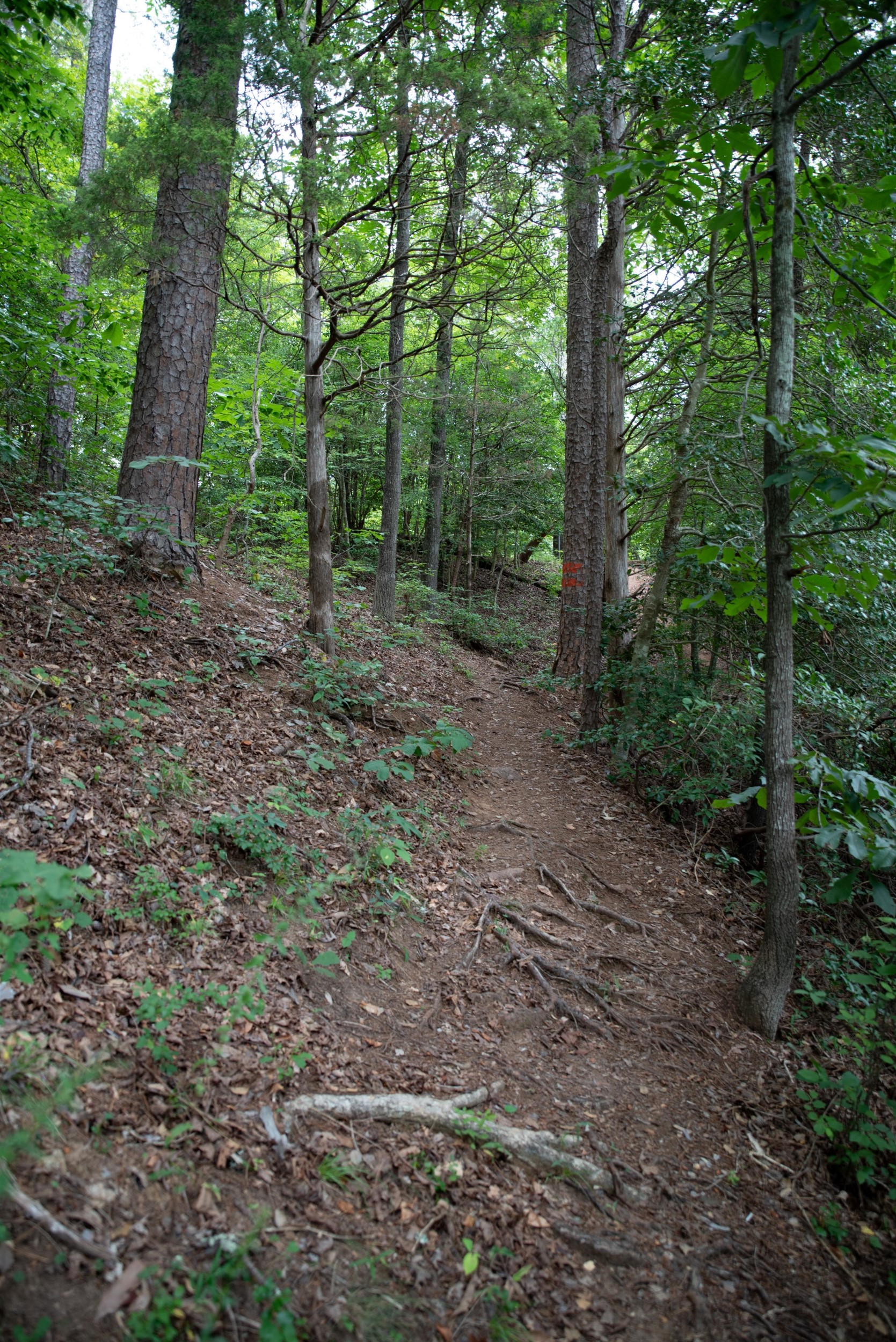 Locations Hub - Lake Issaqueena Dam
