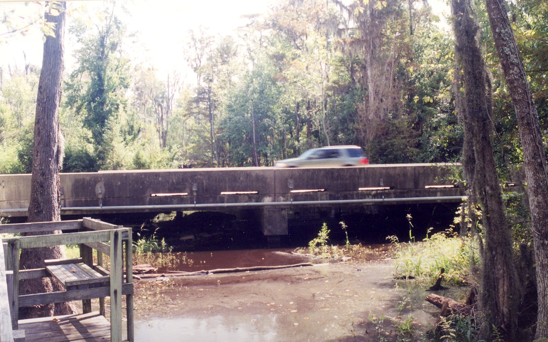 Locations Hub - Pocotaligo Swamp and Nature Walk