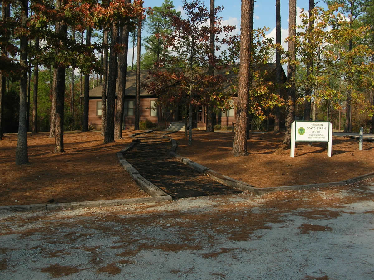 Locations Hub - Harbison State Forest