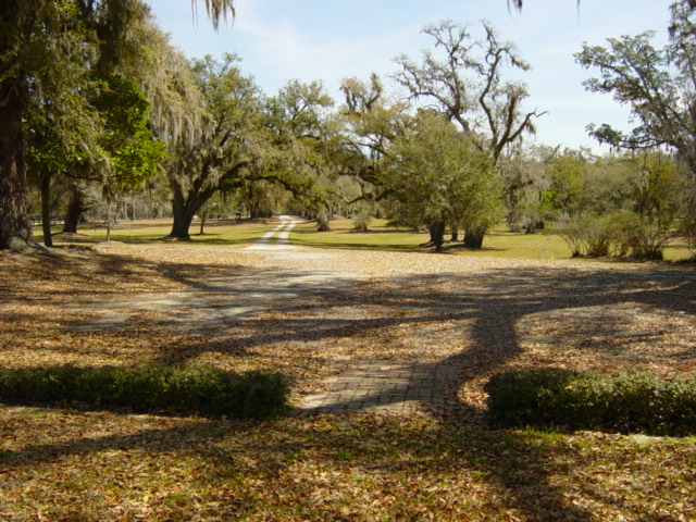 Locations Hub - The Blessing Plantation