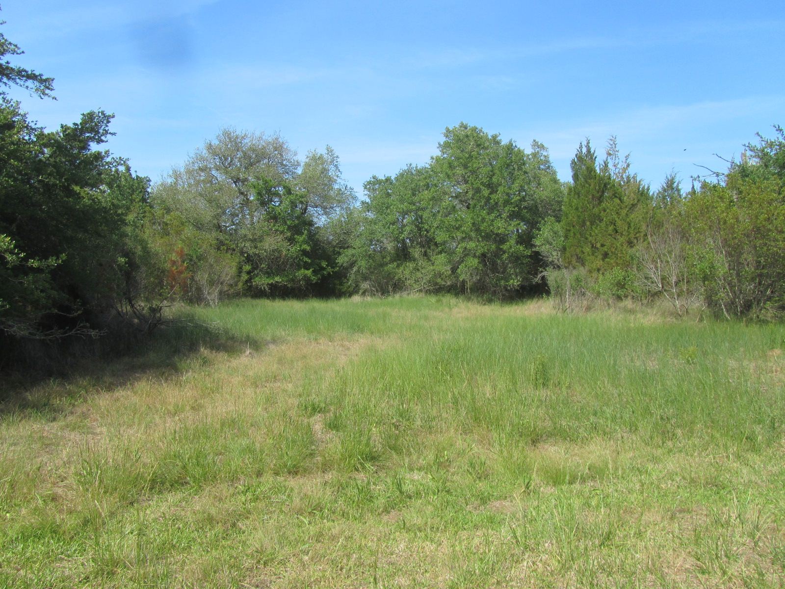 Locations Hub - Awendaw Future Park Site - Clearings