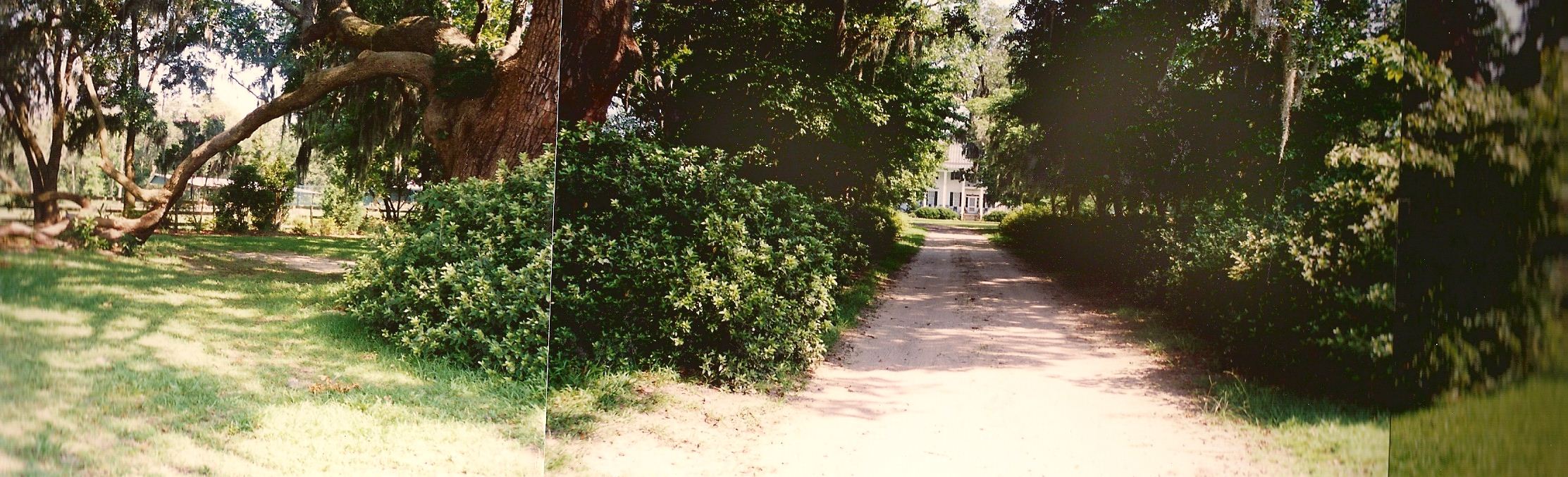 Locations Hub - Lem's Bluff Plantation