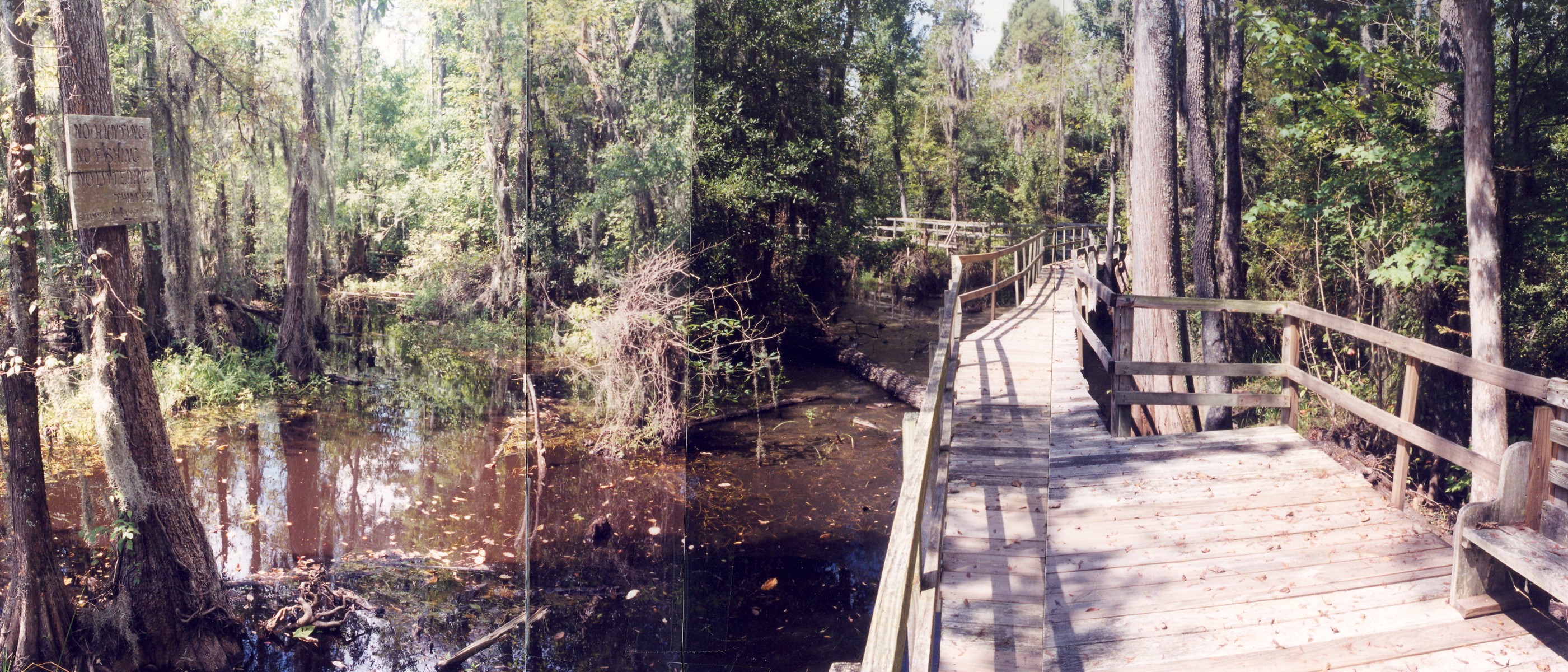 Locations Hub - Pocotaligo Swamp and Nature Walk