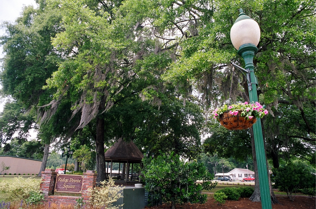 Locations Hub - Ridgeland
