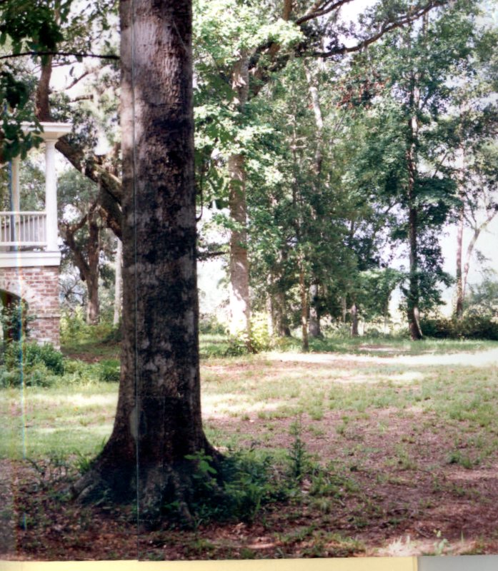 Locations Hub - Dean Hall Plantation