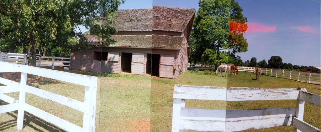 Locations Hub - Whitehaven Plantation